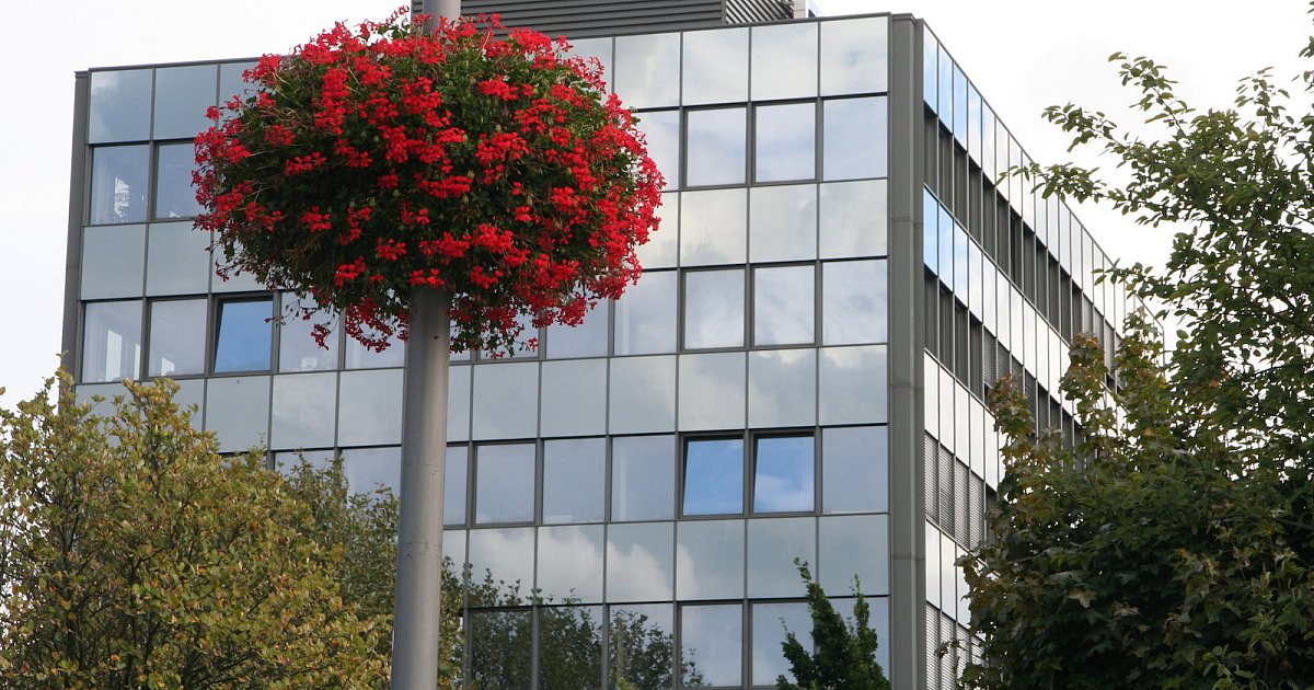 Phoenix Contact als Spitzen-Arbeitgeber ausgezeichnet | Lokale ...