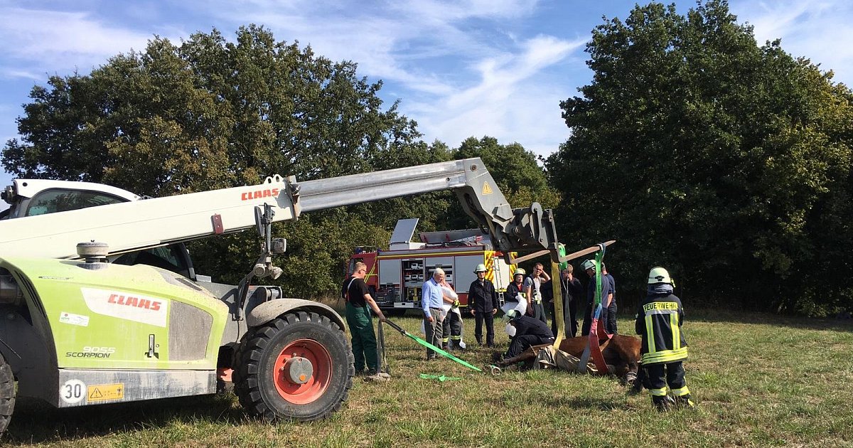 Reiterin bleibt mit Pferd im Hardisser Moor stecken | Lokale ...