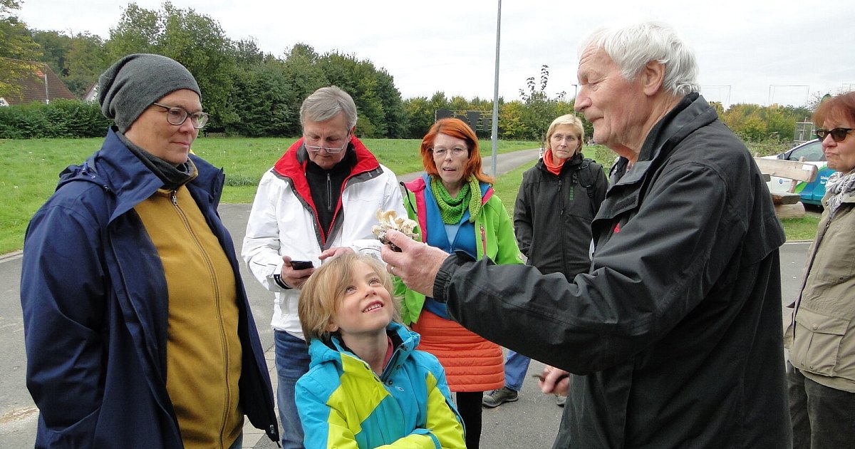 Auf Pilz-Exkursion in Dörentrup | Lokale Nachrichten aus Lippe - LZ.de