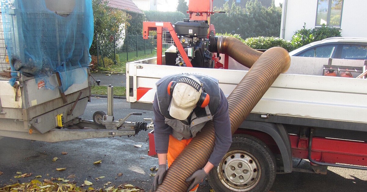 Schlänger sollen Wege freischneiden | Lokale Nachrichten aus Schlangen - LZ.de