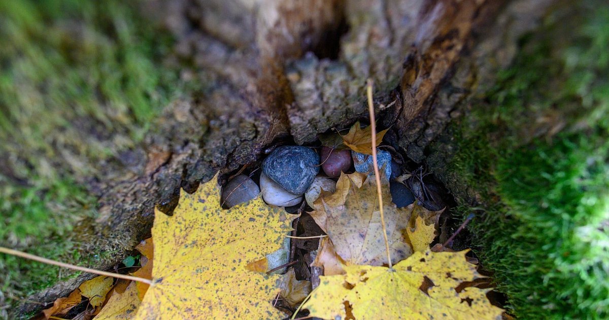 Urteil: Keine Umbettung einer Urne wegen steiler Wege | Nordrhein-Westfalen - LZ.de