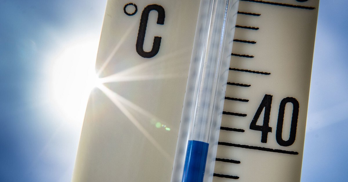 @its_bunnii nude she on the other hand replied to me one