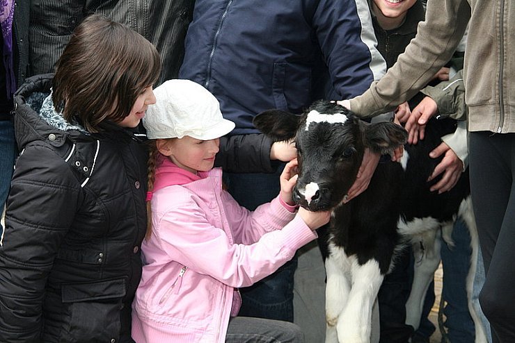 Schüler lernen auf dem Bauernhof | Lokale Nachrichten aus Lippe - LZ.de