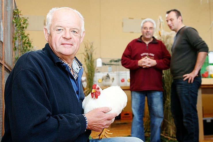 31. Hanseschau in der Mehrzweckhalle Laubke | Lokale Nachrichten aus ...