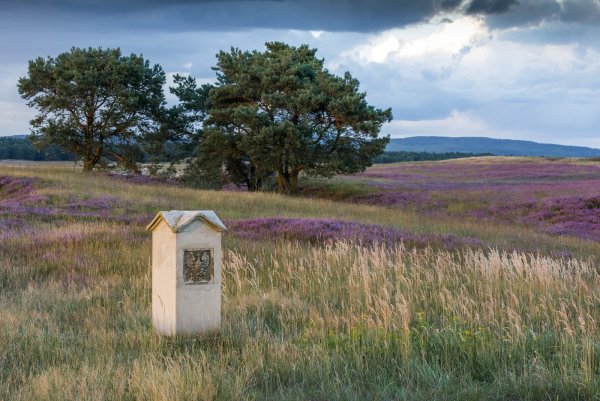 Kein Nationalpark für die Senne: Förderverein reagiert entsetzt ...