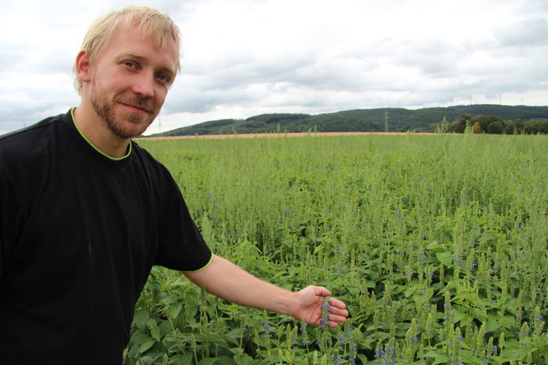 Superfood aus Kalletal: Werner Klemme baut neben Mohn jetzt auch Chia ...