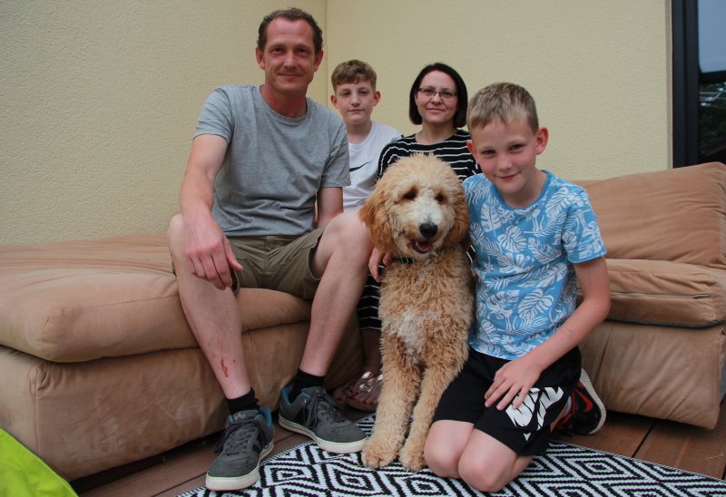 Leben mit Diabetes: Hund Milo soll ein Stück Alltag zurückbringen ...