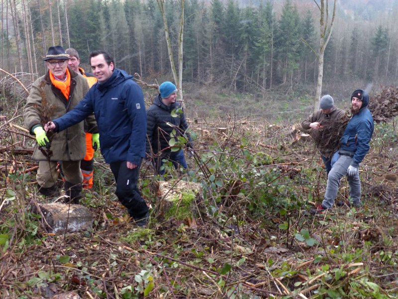 Baumpflanzaktion: Eichen bereichern den Lügder Humberg | Lokale Nachrichten aus Lügde - LZ.de