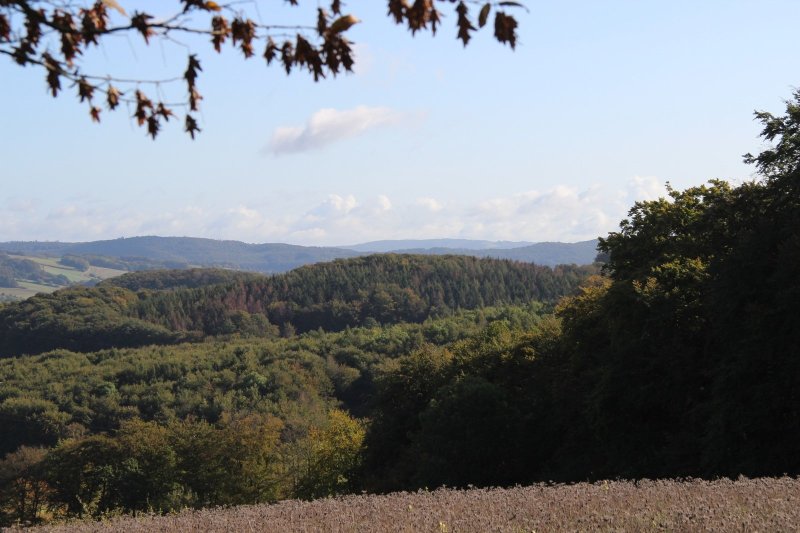 Kalletaler Wanderwege werden neu sortiert | Lokale Nachrichten aus ...