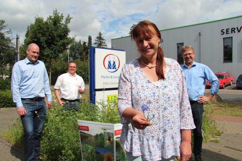Lagenser Zuckerfabrik verwandelt tote Flächen in Blühstreifen | Lokale ...