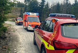 Lokale Nachrichten aus Detmold - LZ.de