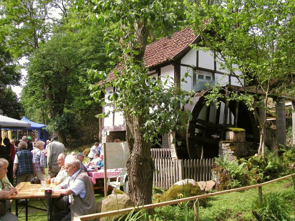 Deutscher Mühlentag: In Dalbke und Bentorf ist das Interesse groß ...