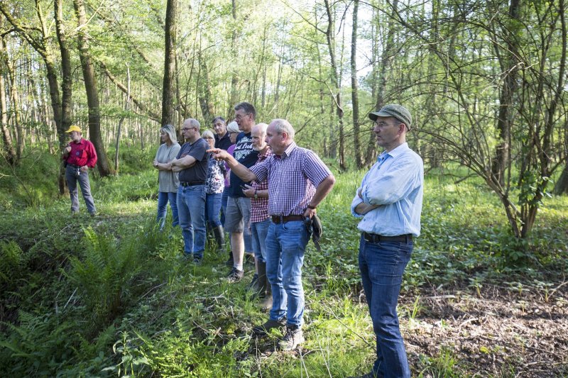 Hardisser Moor ist von europaweiter Bedeutung | Lokale Nachrichten aus ...
