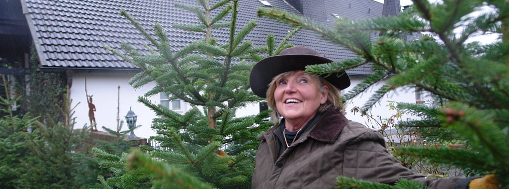 So findet der richtige Weihnachtsbaum den Weg ins Wohnzimmer | Lokale ...