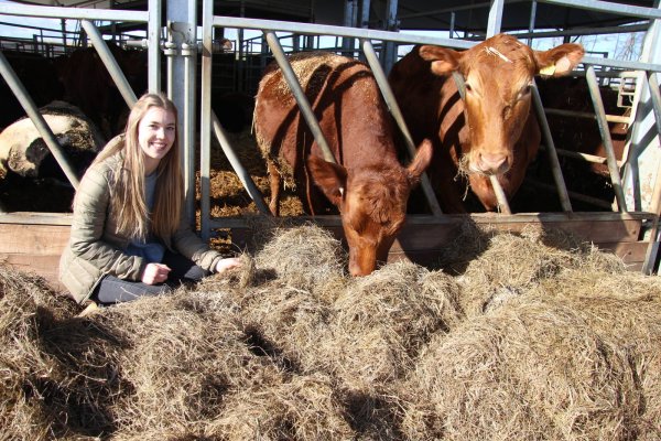 Leonie Froböse lebt ihren Traumberuf: Landwirtin in Lage | Lokale ...