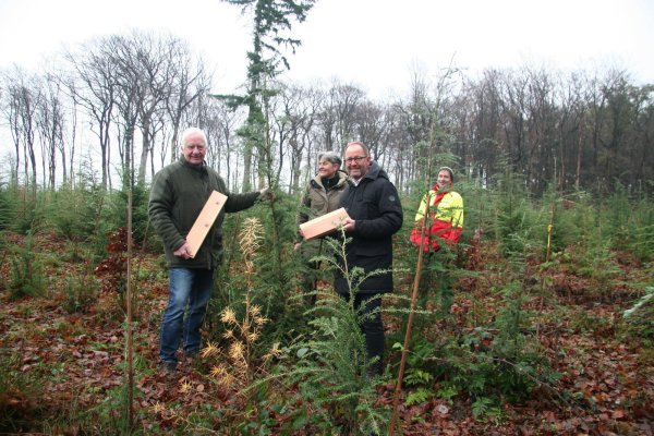 Kalifornische Bäume für Lippes Wälder | Lokale Nachrichten aus Lippe ...