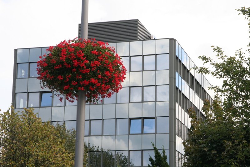 Phoenix Contact als Spitzen-Arbeitgeber ausgezeichnet | Lokale ...