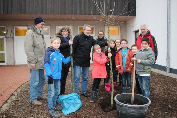 Wegen Vandalismus: Ostschule sichert Apfelbaum mit Bewegungsmelder ...