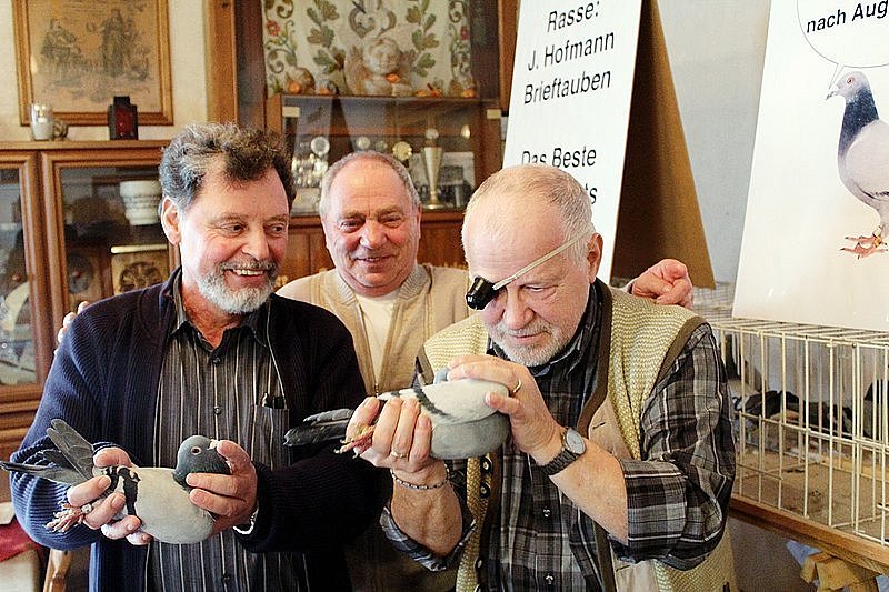 Brieftauben-Experten treffen sich in Brakelsiek | Lokale Nachrichten ...